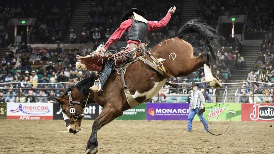 Colorado Vs The World Champions Crowned at National Western Stock Show