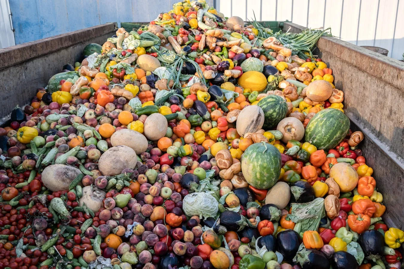Scientists discover hidden link between food waste, climate change, and ...