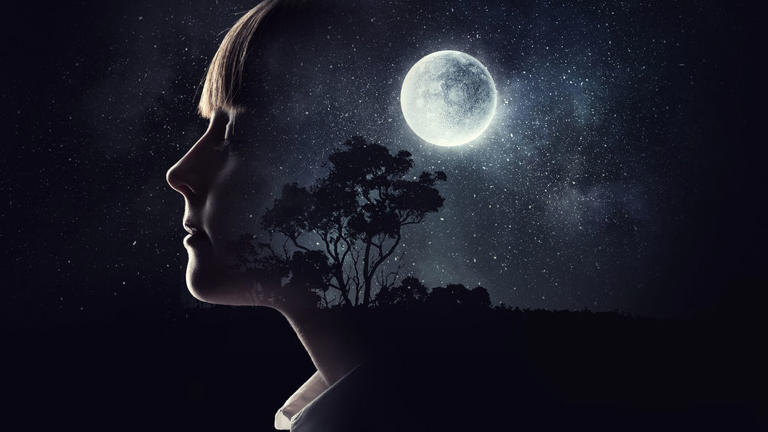 The Impact Of The Moon’s Transit Through Each Zodiac Sign