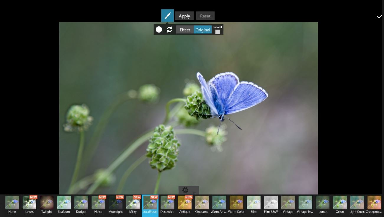 Free top-rated photo apps for Windows 10