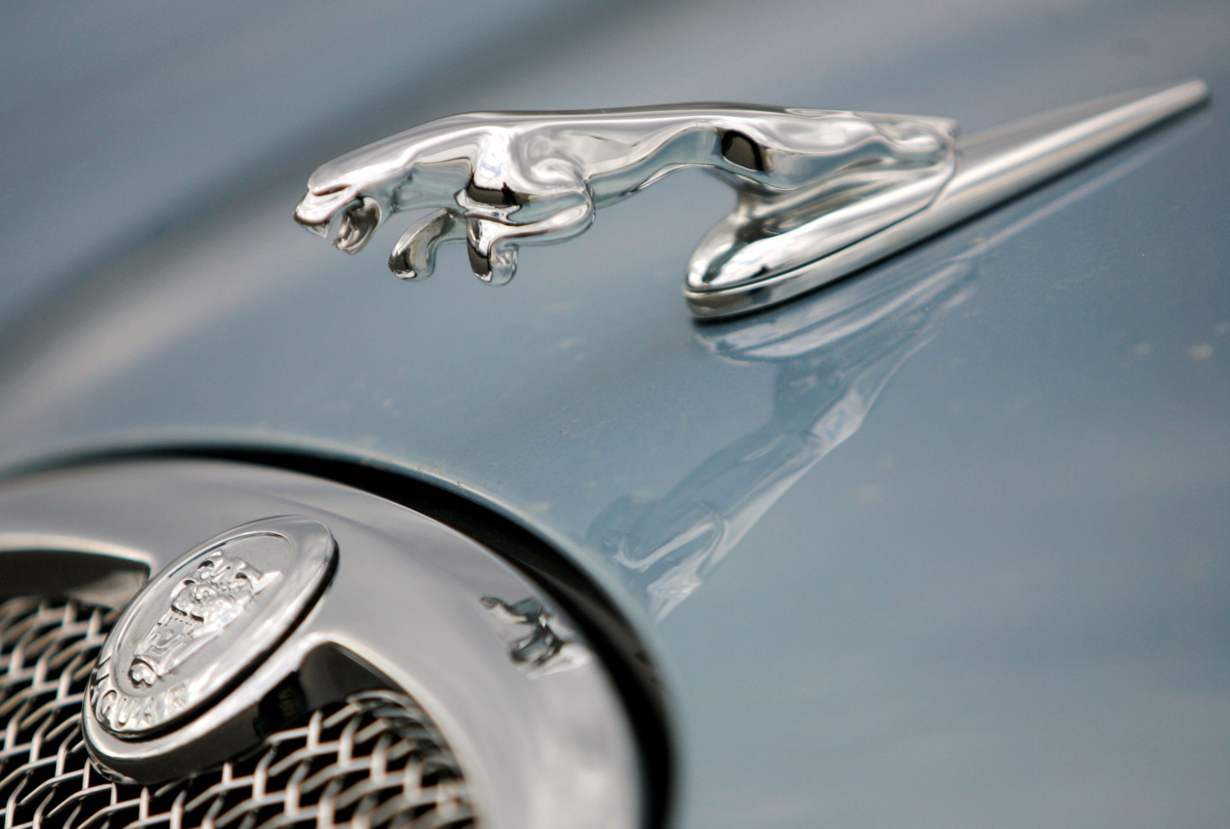 Can you guess the car logo?