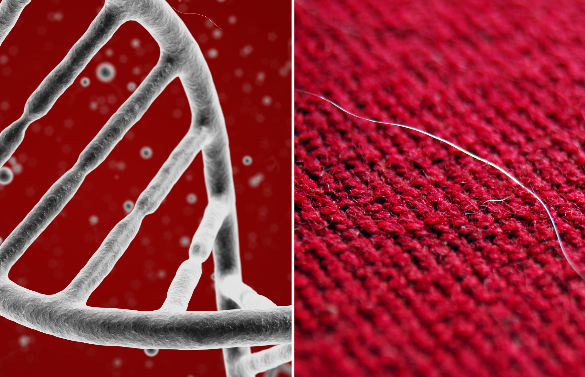 The smallest things your eyes can see