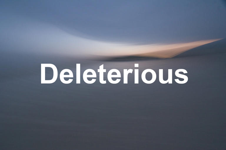 Do you know what these words mean?