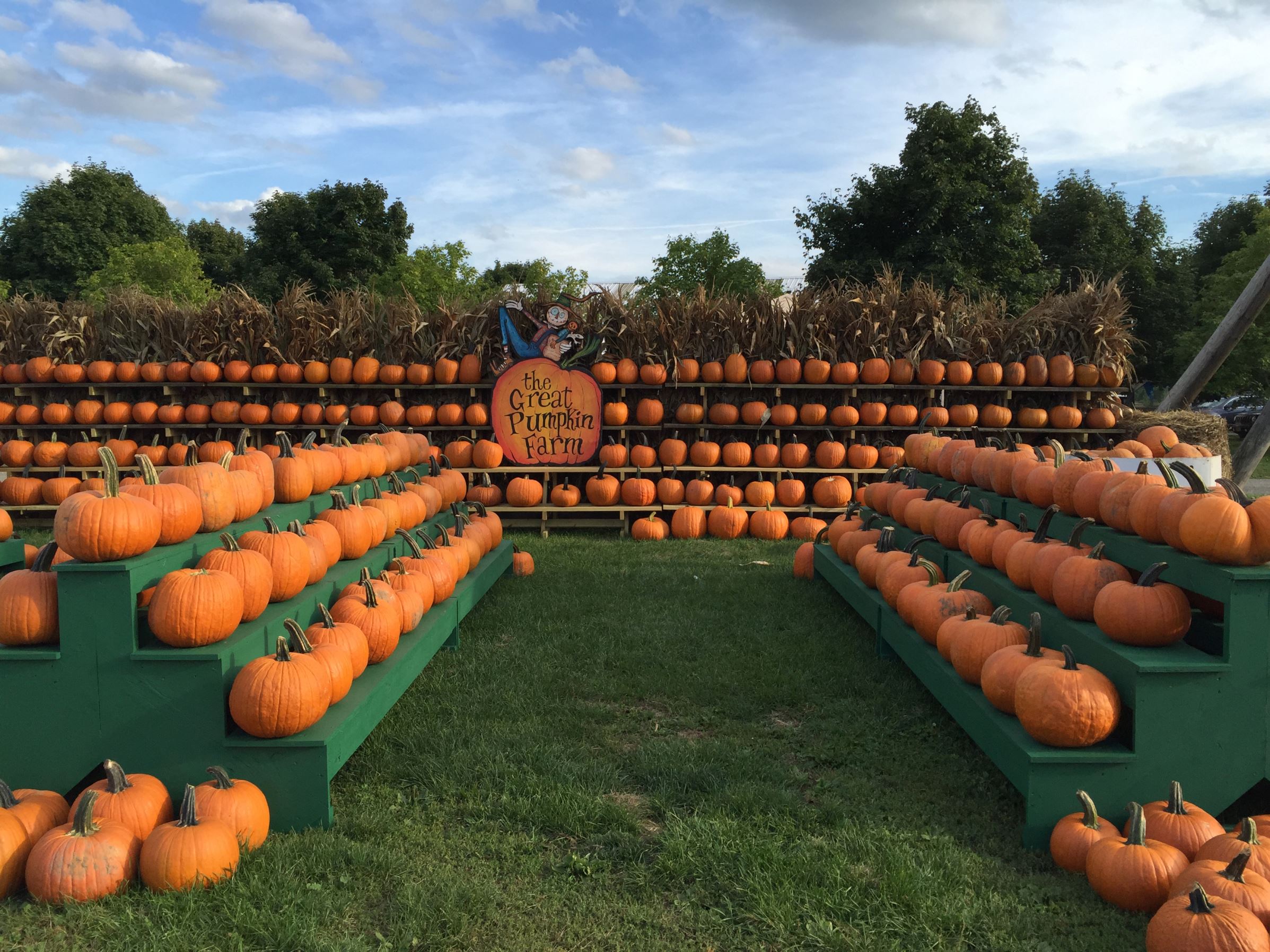 Best pumpkin patches in the US